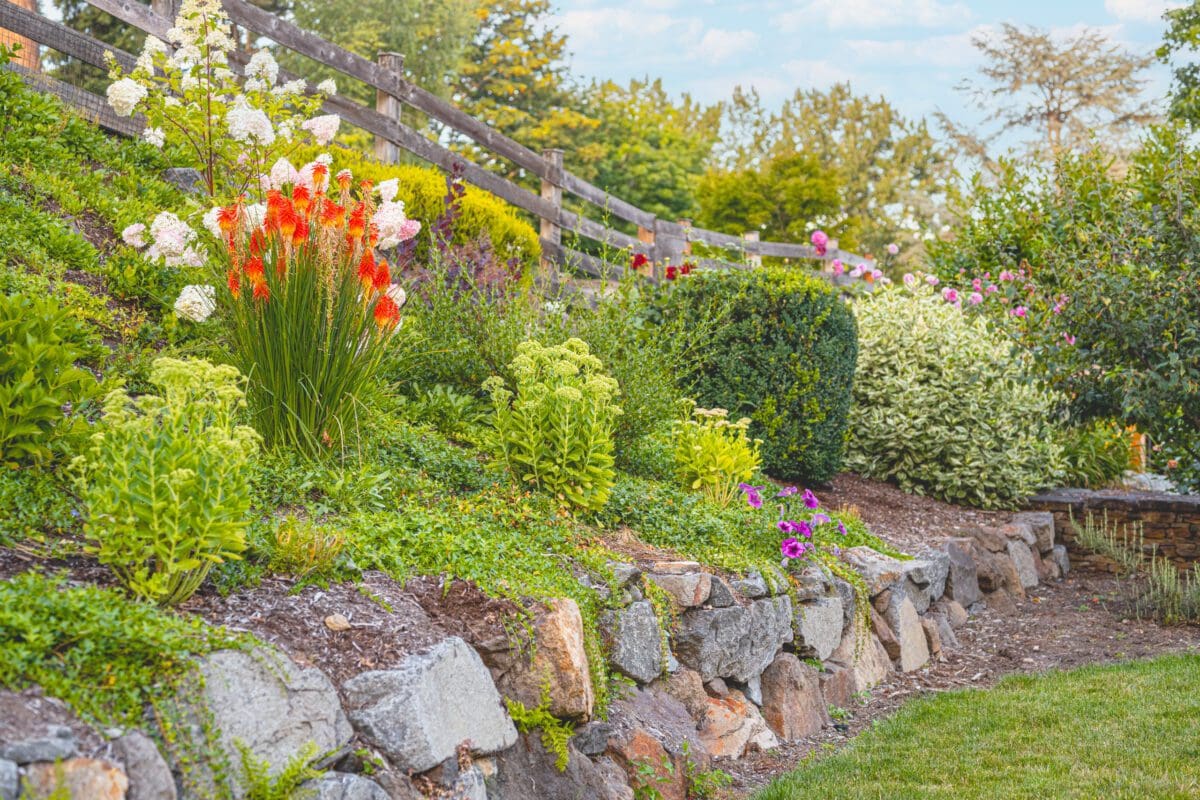 Landscape Planting | Selecting Landscape Plants in Seattle